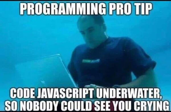 Top 40+ Javascript Memes|Programming Humor :D - Flatlogic Blog